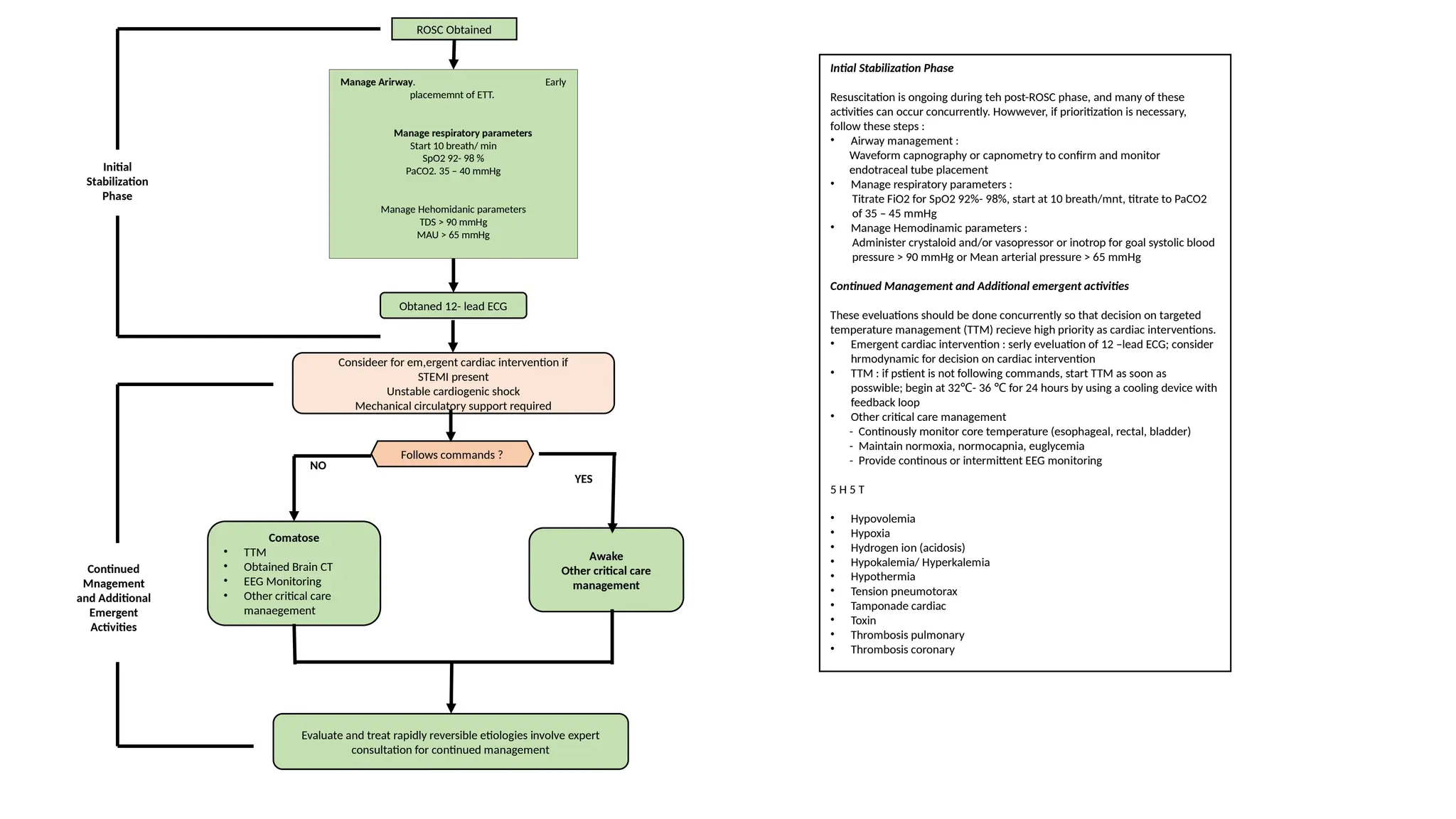 SYOK MURNI pppt presentasisyokmurni.pptx
