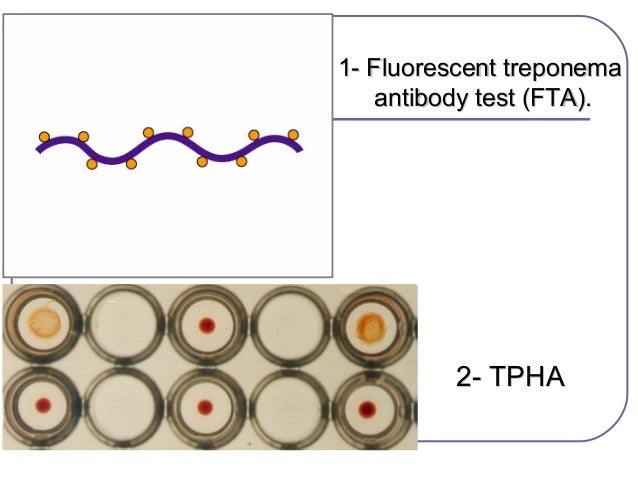 Syphalis - final - naglaa MAKRAM