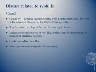 Syphilis | PPT