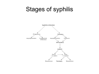 Syphilis and Neurosyphilis 101 | PPT