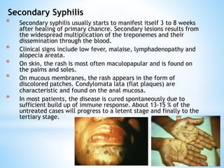 Syphilis | PPT
