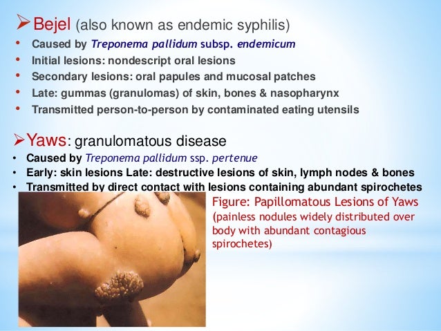 Syphilis