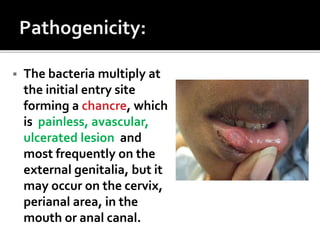 Syphilis | PPTX
