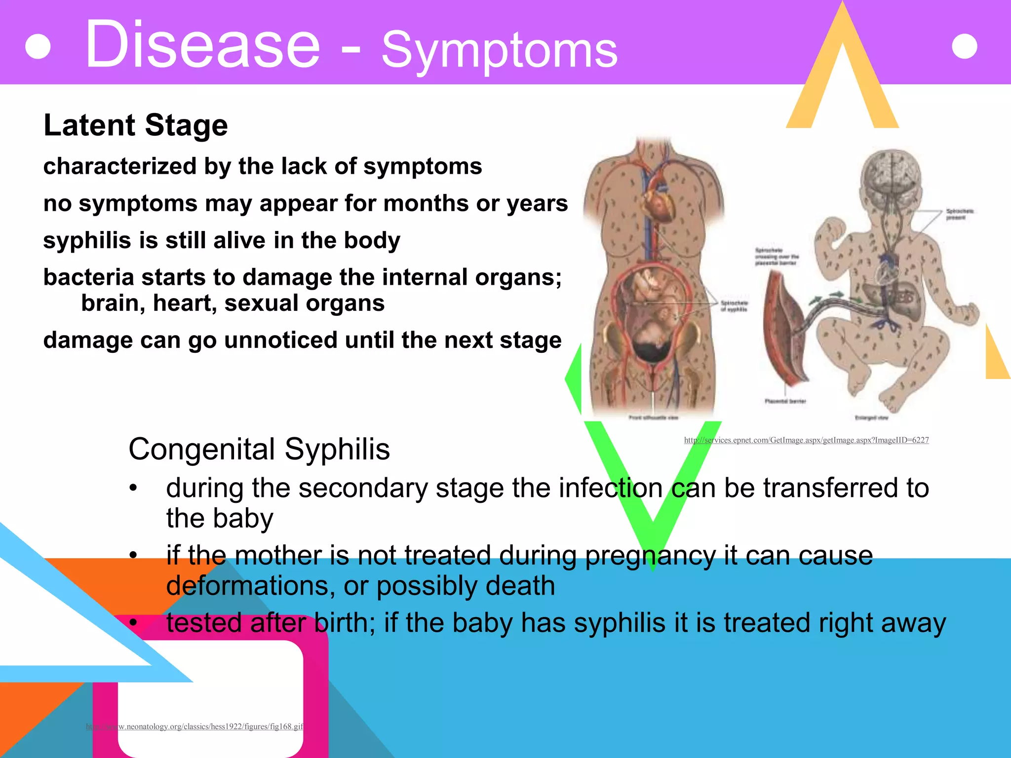 Syphilis PPT | PPTX