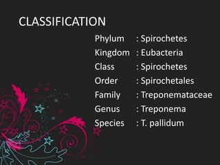 Syphilis | PPTX