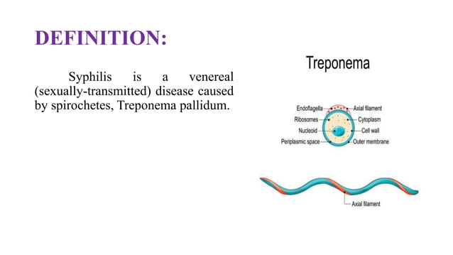 Stages of syphilis and its treatment | PPTX | Infectious Diseases ...