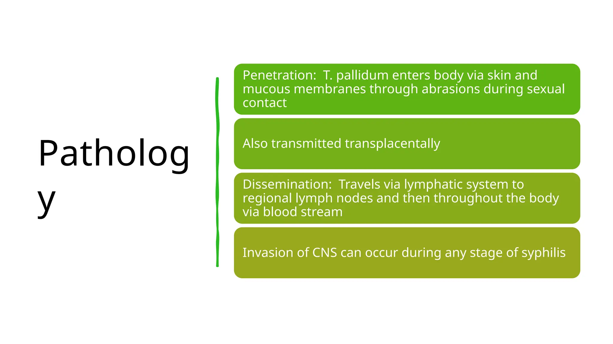 Syphilis pathology seminar 2nd year .pptx