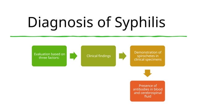 Syphilis Pathology Seminar 2nd Year Pptx