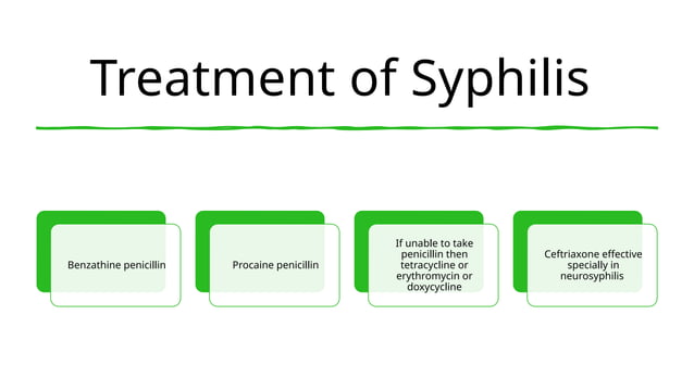 Syphilis Pathology Seminar 2nd Year Pptx