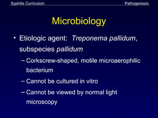 Syphilis slides | PPT