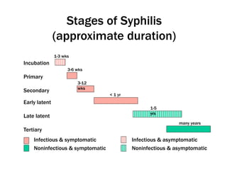 Syphilis Group Presentation-Cuttington University | PPT