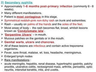 Syphilis in a nutshell | PPT