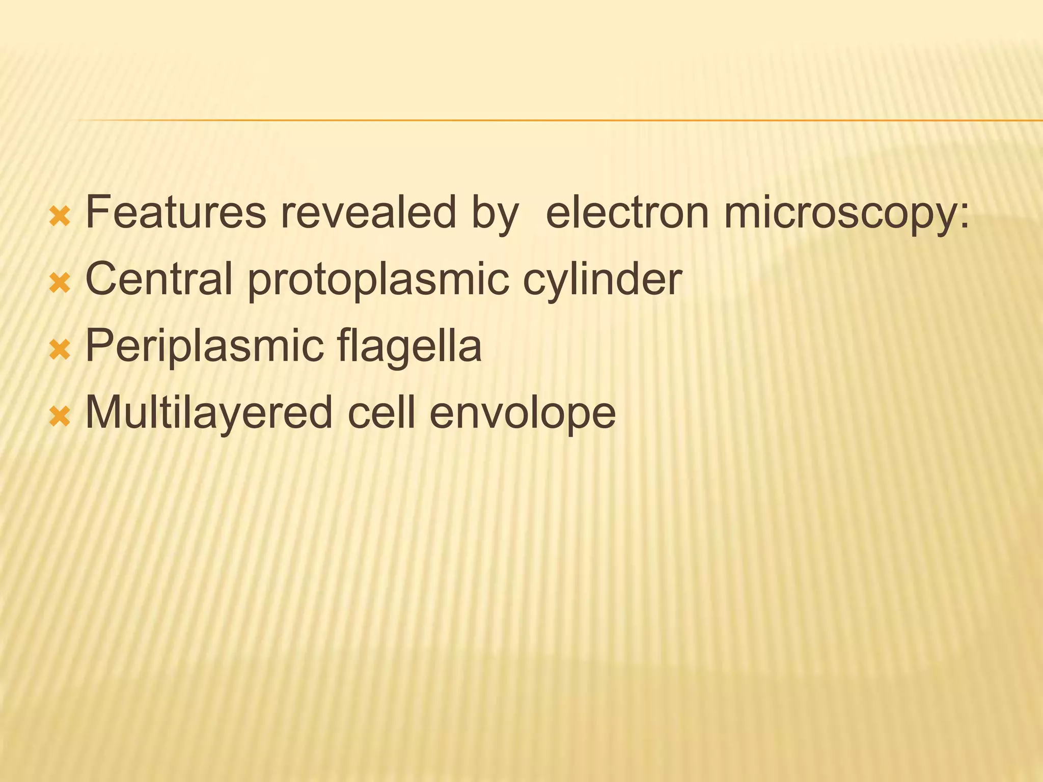 Syphilis introduction and primary syphilis | PPTX