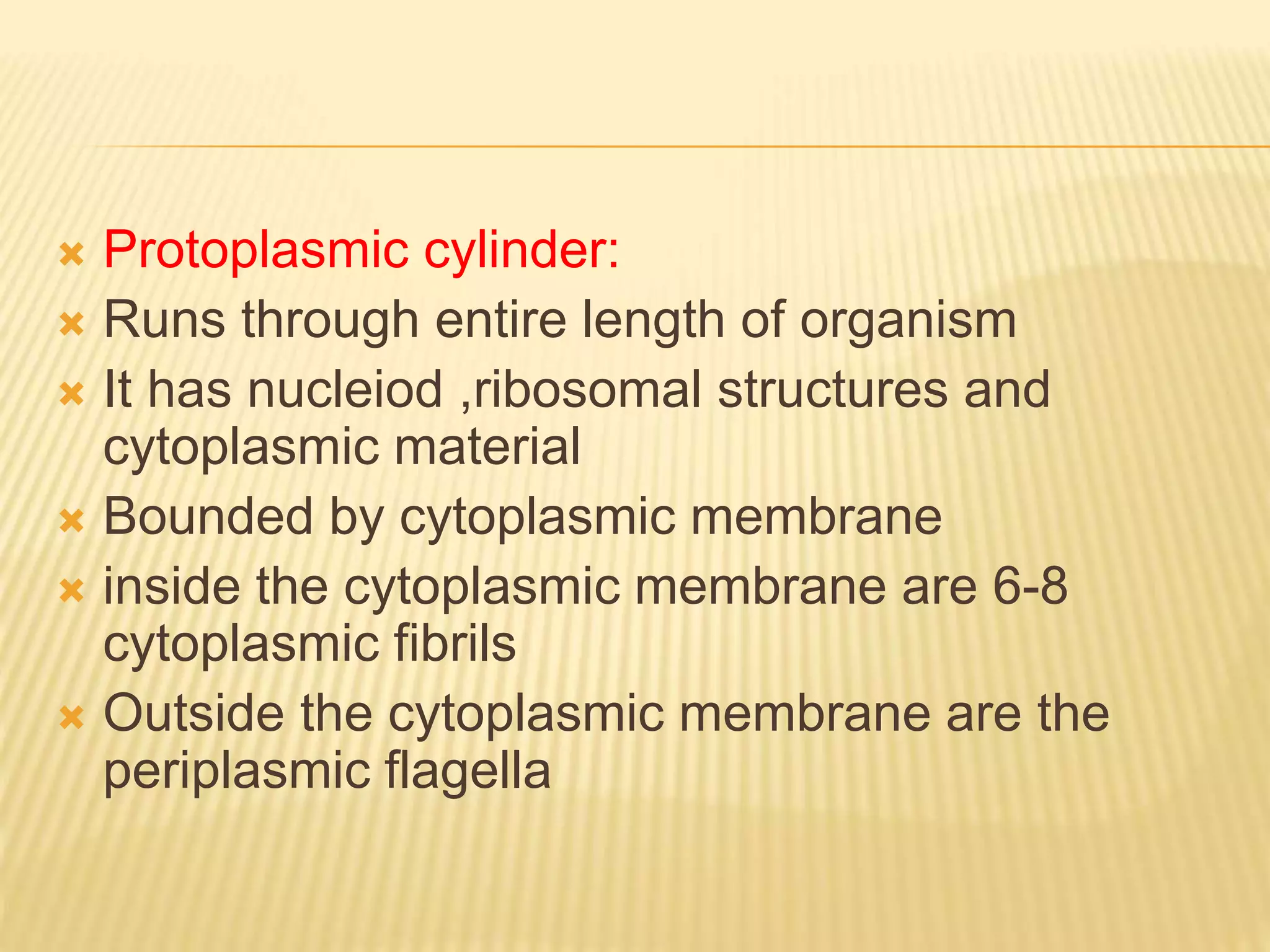 Syphilis introduction and primary syphilis | PPTX