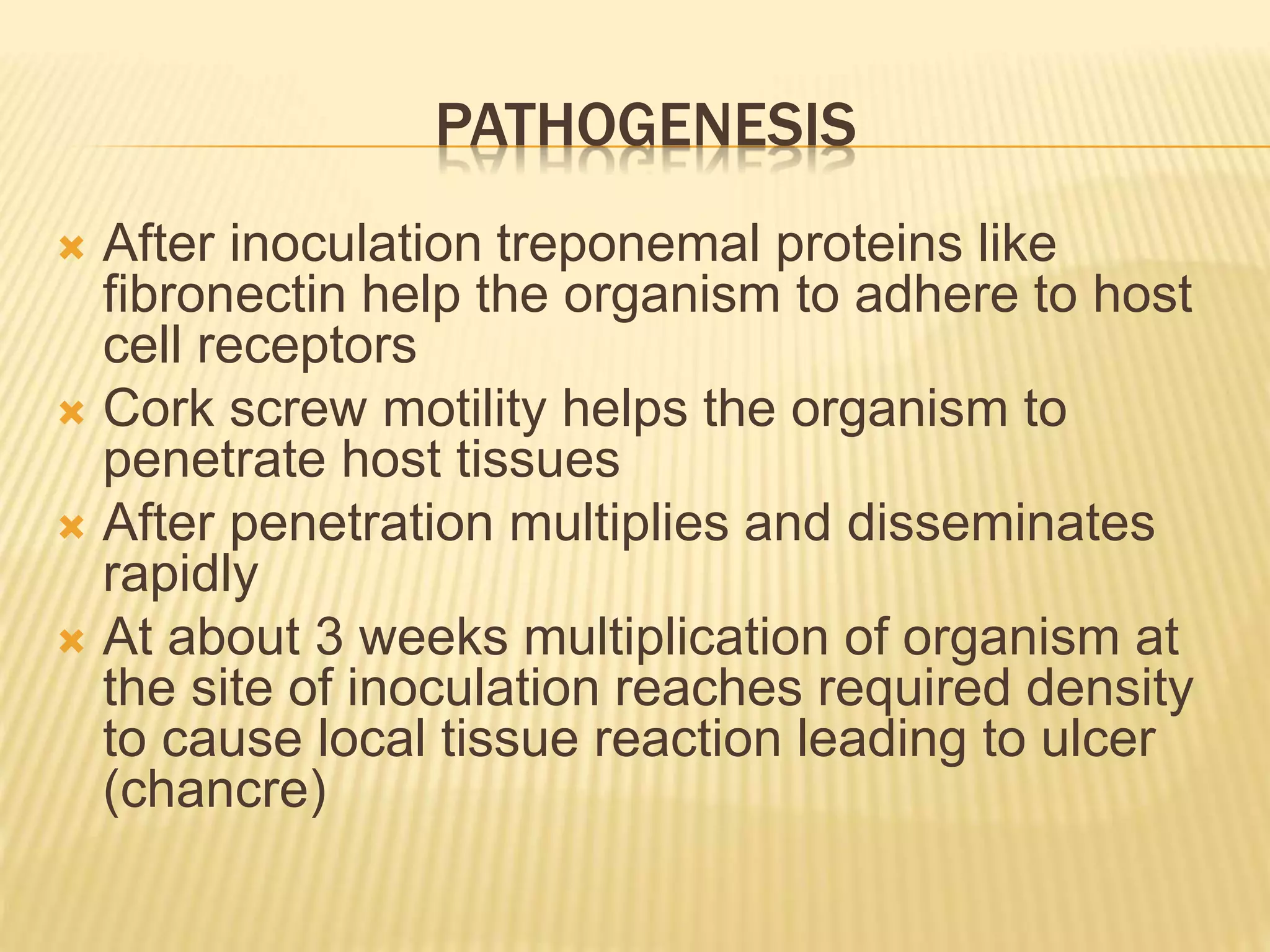 Syphilis introduction and primary syphilis | PPTX