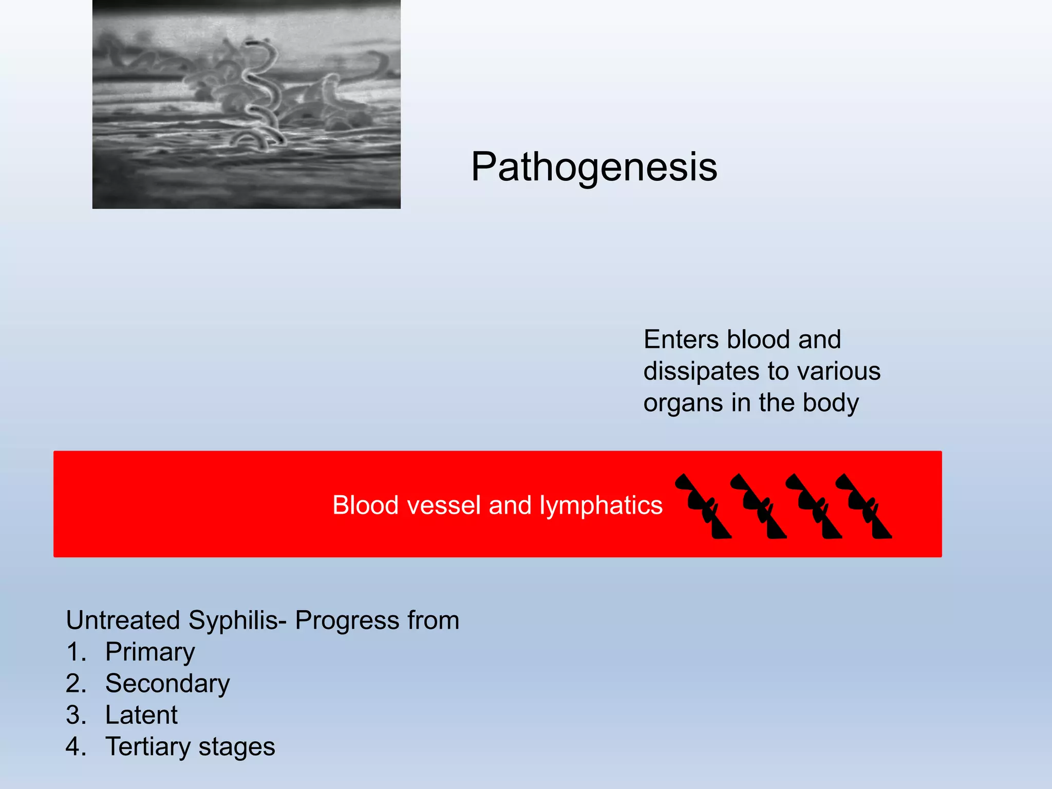 Syphilis new.pptx [repaired] | PPTX