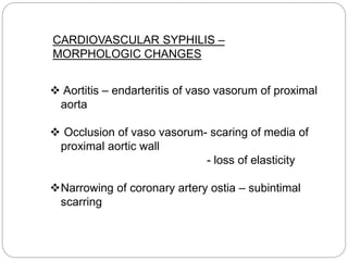 Syphilis | PPTX | Infectious Diseases | Diseases and Conditions