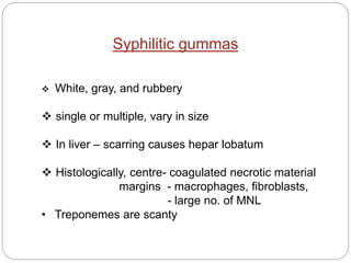 Syphilis | PPTX