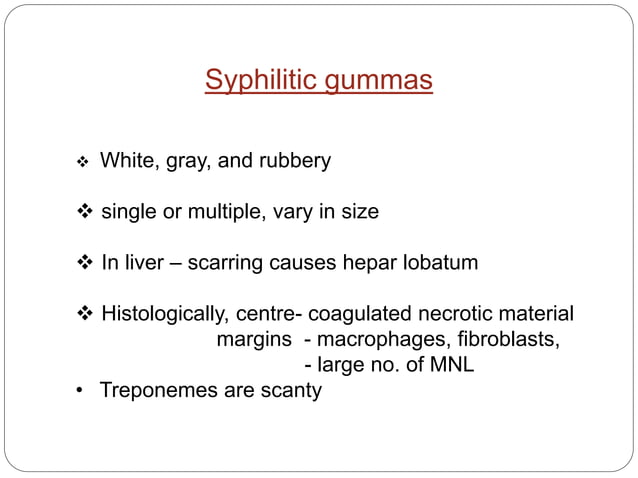 Syphilis | PPTX | Infectious Diseases | Diseases and Conditions