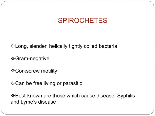Syphilis | PPTX | Infectious Diseases | Diseases and Conditions