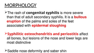 Syphilis complete notes on pathology mode of transmission and etiology ...