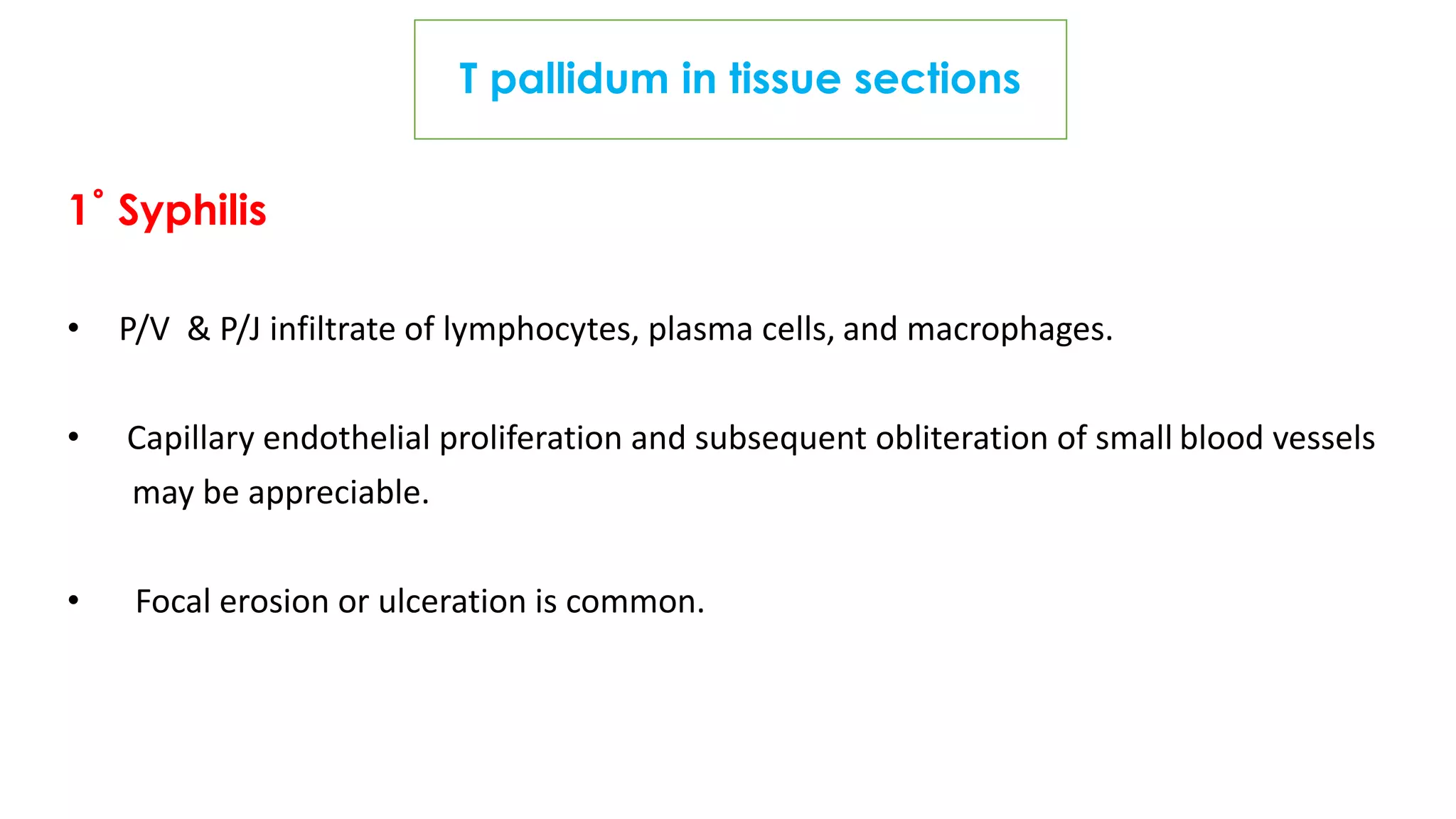 syphilis serology ppt, syphilis, laboratory diagnosis of syphilis, VDRL ...