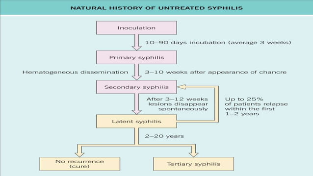 syphilis serology ppt, syphilis, laboratory diagnosis of syphilis, VDRL ...