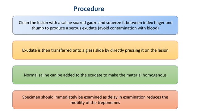syphilis serology ppt, syphilis, laboratory diagnosis of syphilis, VDRL ...