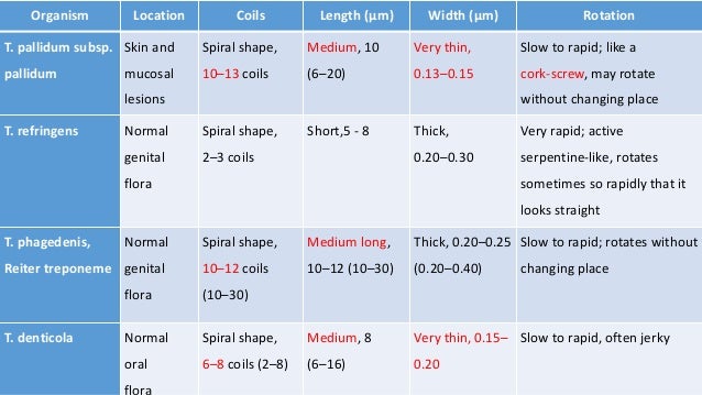 syphilis serology ppt, syphilis, laboratory diagnosis of syphilis, VD…
