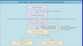 Syphilis ppt | PPTX