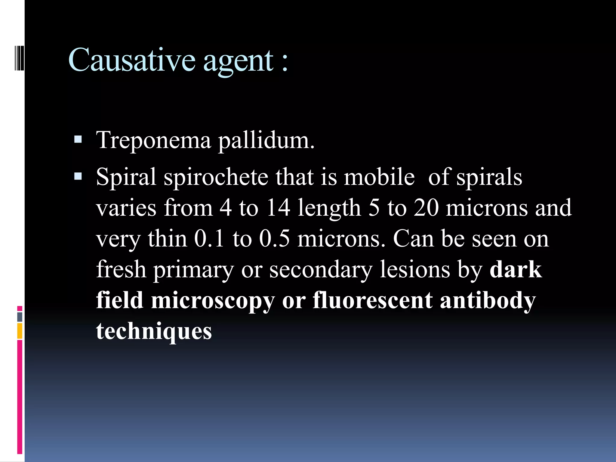 Syphilis Ppt Pptx
