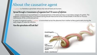 Syphilis -community pharmacy | PPT