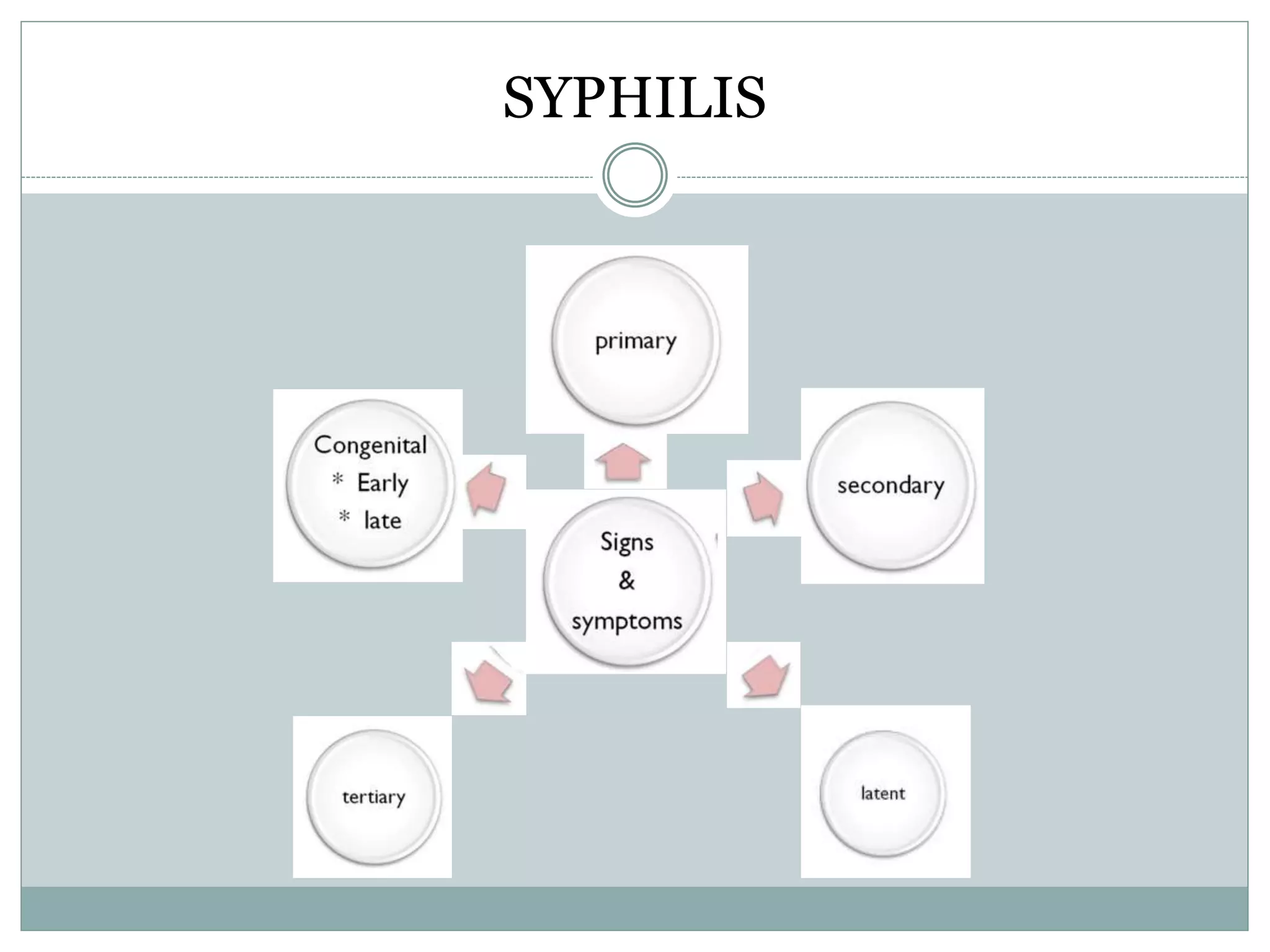 Syphilis | PPTX