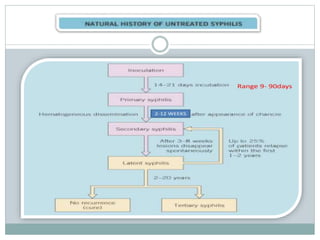 Syphilis Bacteria Diagram