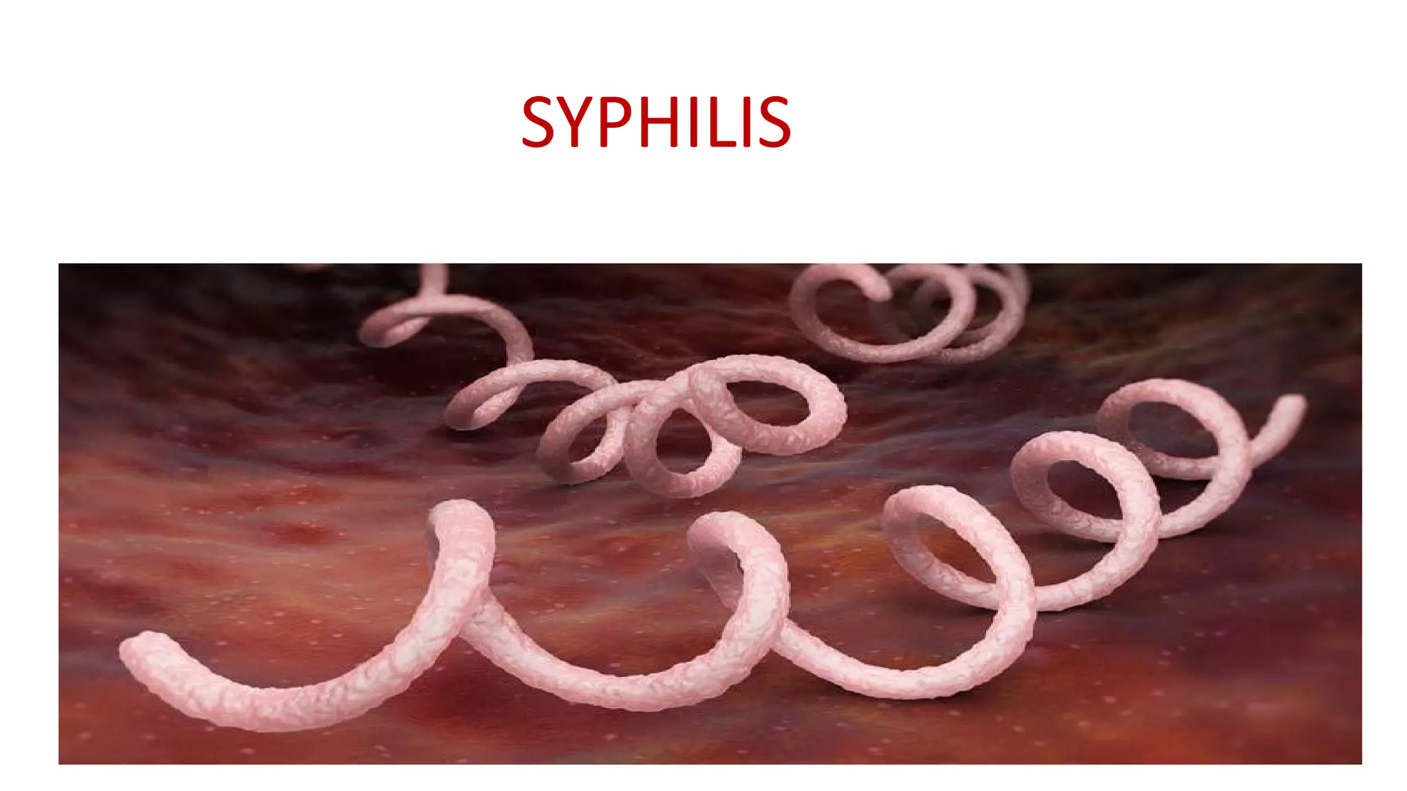 syphilis pathophysiology and classification class.pptx