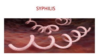 syphilis pathophysiology and classification class.pptx