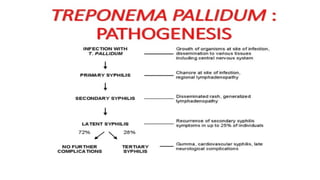 syphilis pathophysiology and classification class.pptx