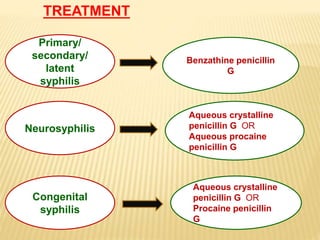 Syphylis | PPTX