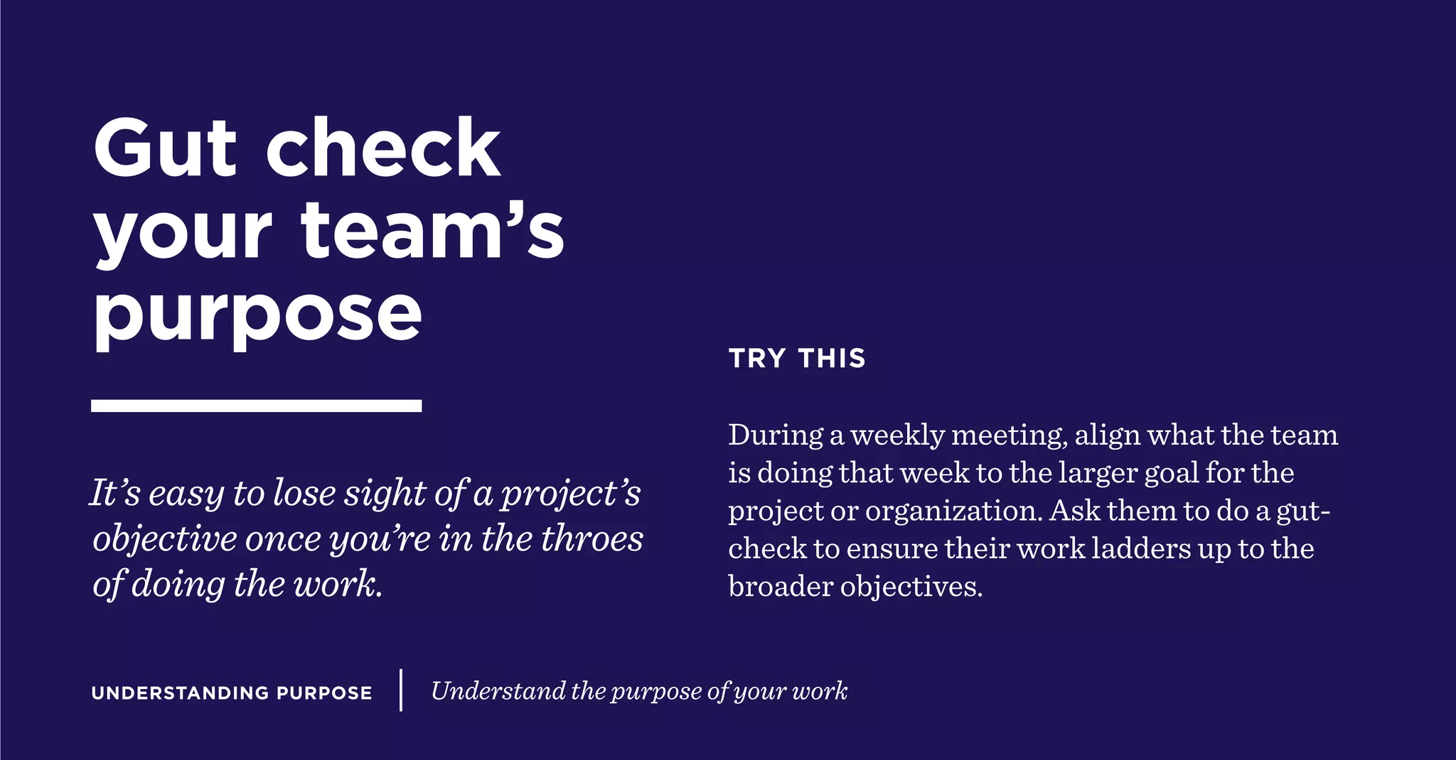 Understanding Purpose | PDF