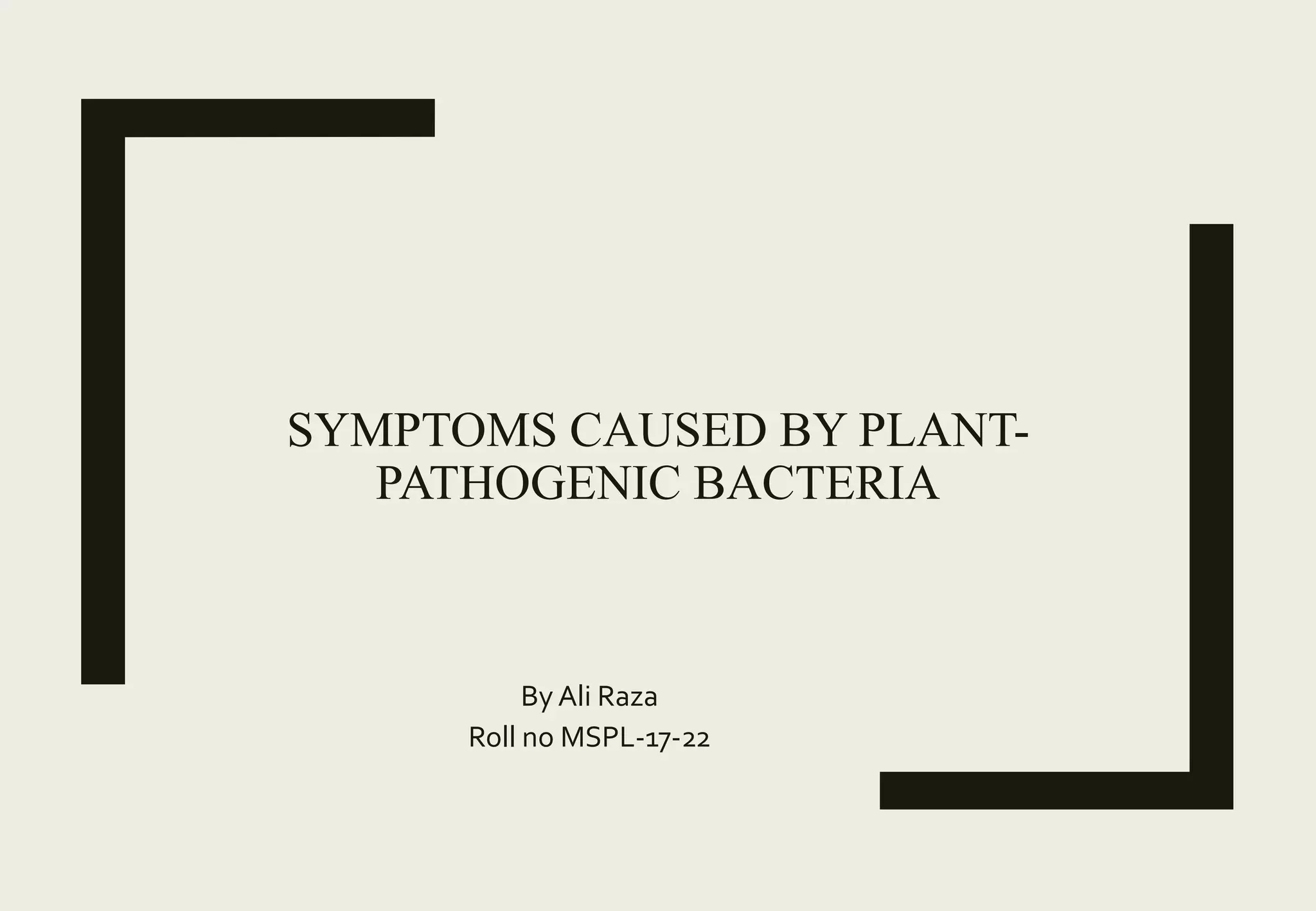 Symptoms of Plant Pathogenic bacteria | PPTX