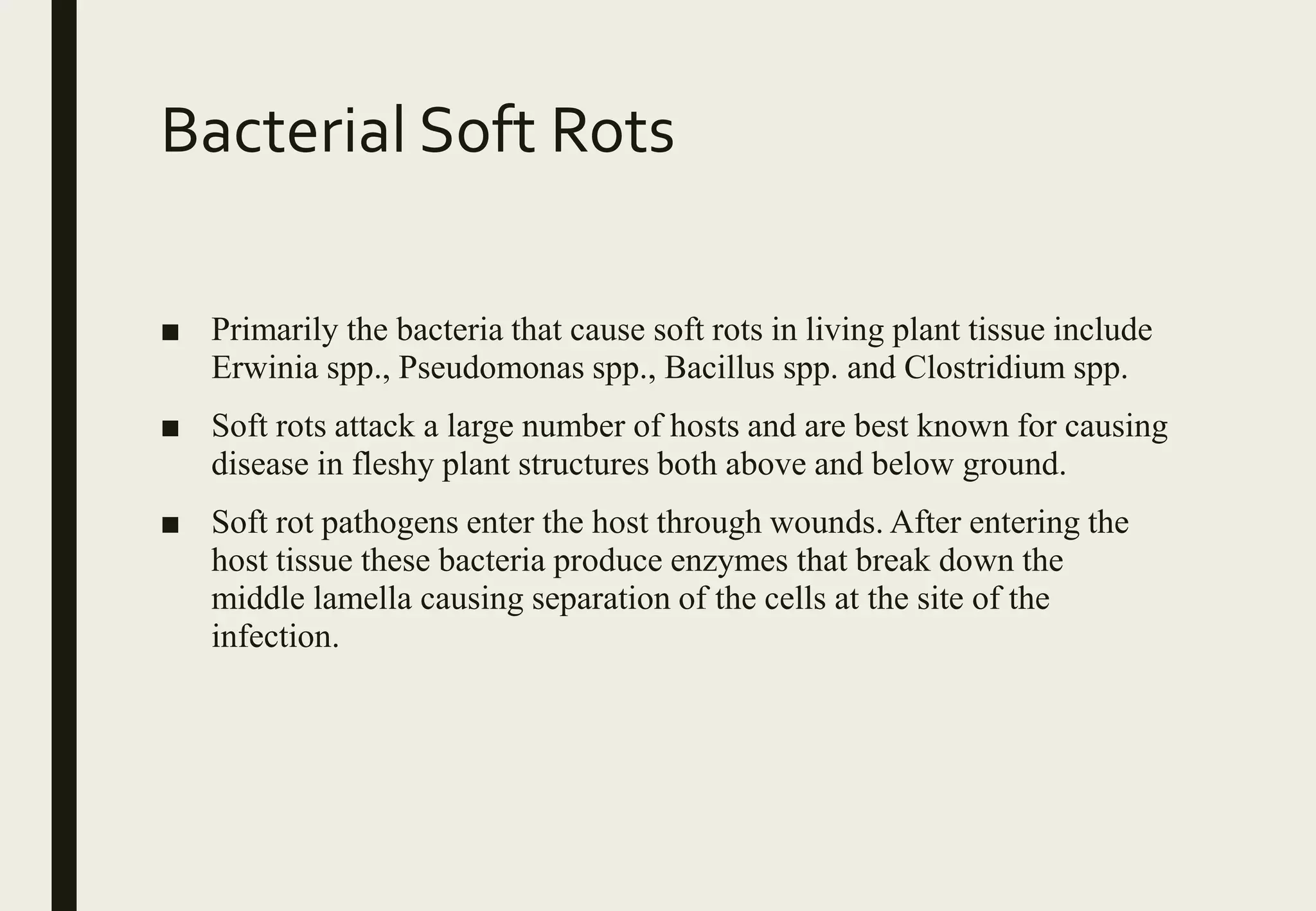 Symptoms of Plant Pathogenic bacteria | PPTX