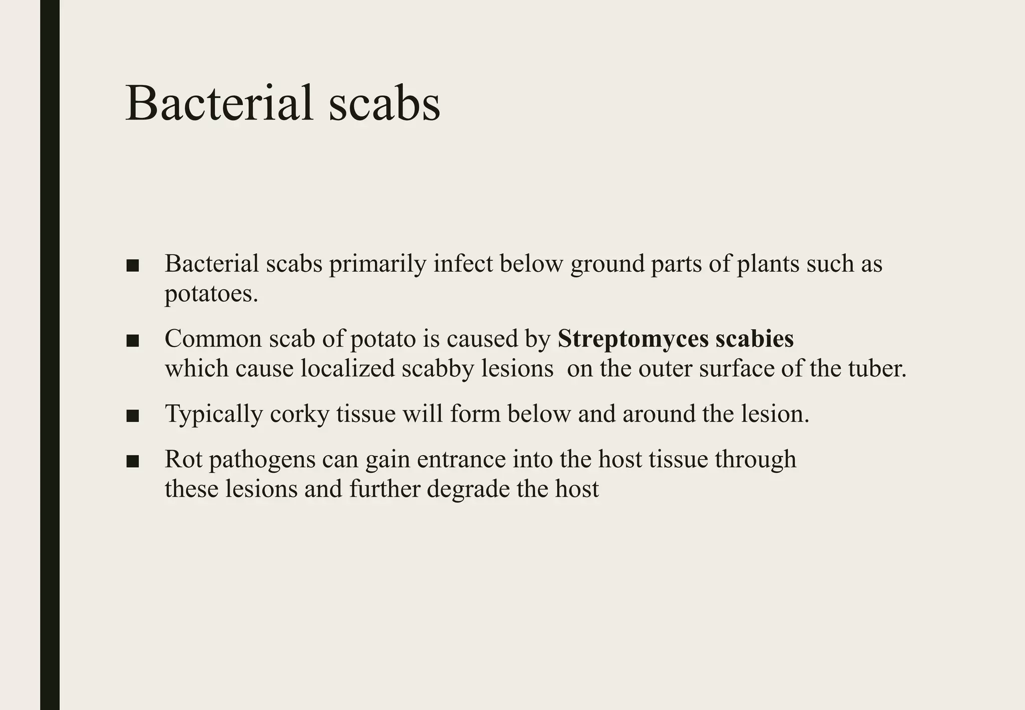 Symptoms of Plant Pathogenic bacteria | PPTX