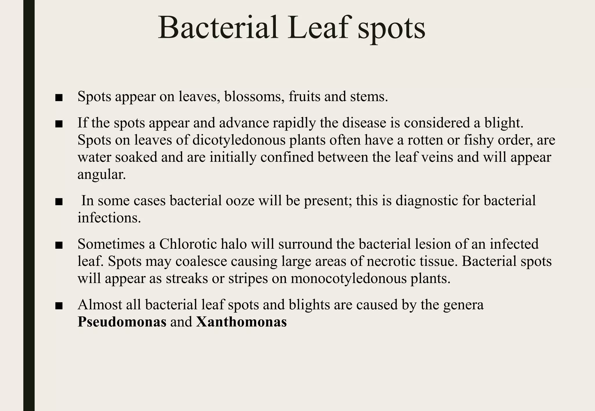 Symptoms of Plant Pathogenic bacteria | PPTX