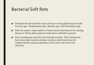 Symptoms of Plant Pathogenic bacteria | PPTX