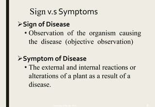 Symptoms of Plant Pathogenic bacteria | PPTX