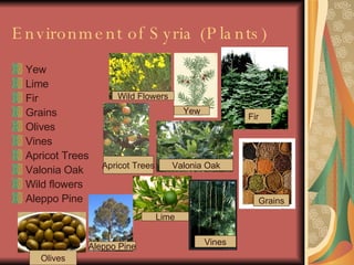 Syria | PPT