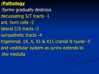 Syringomyelia | PPT