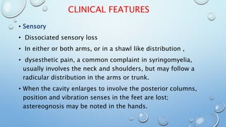 Syringomyelia | PPTX