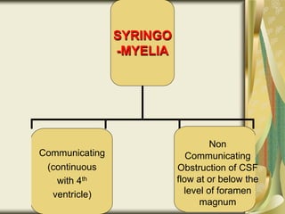 Syringomyelia-converted-converted_1.pptx