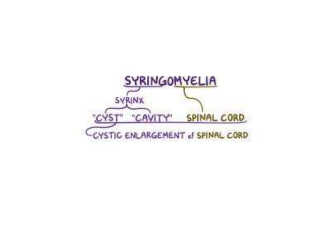 Syringomyelia | PPT